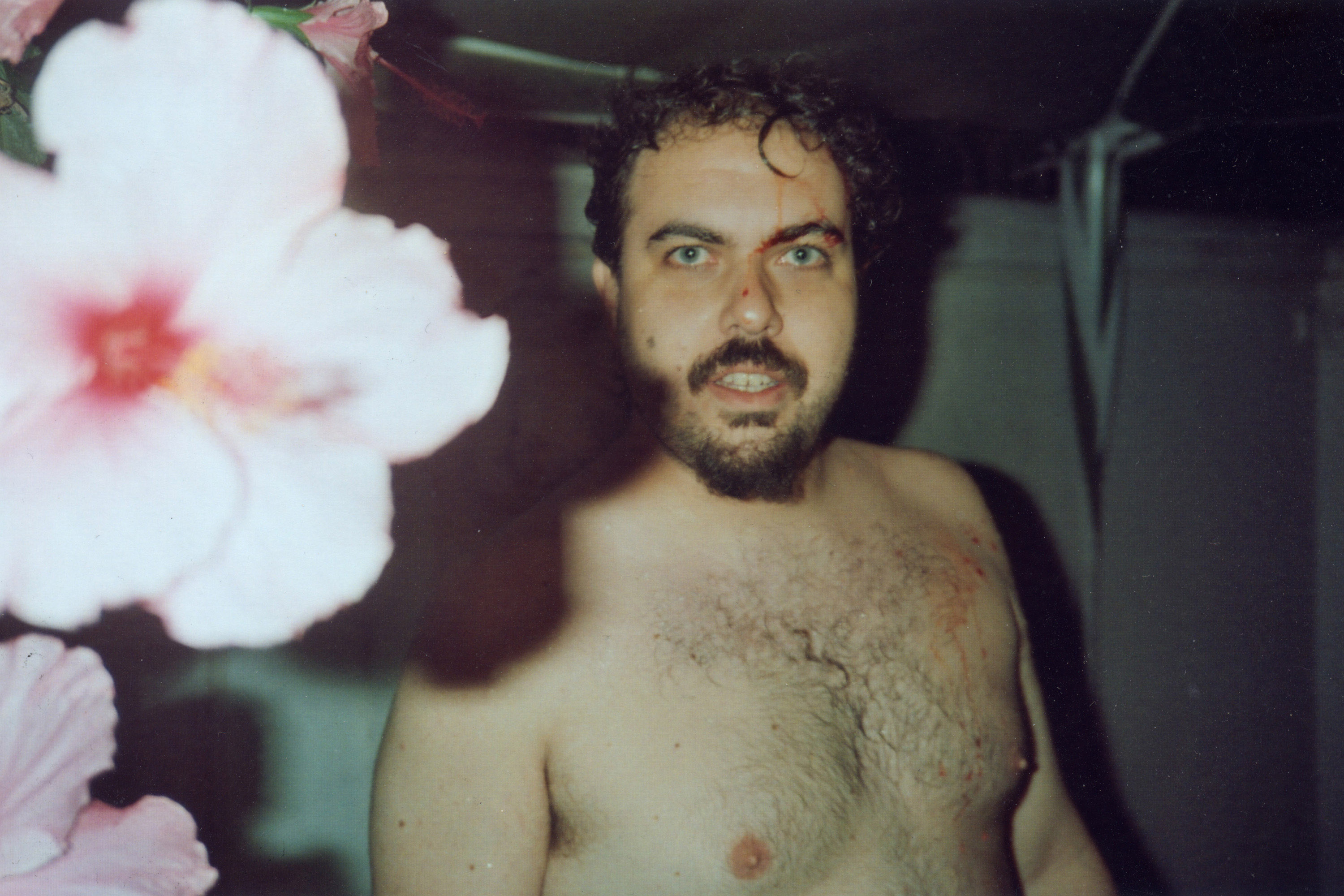 Daniel Hanselmann's Instagram, Twitter & Facebook on IDCrawl